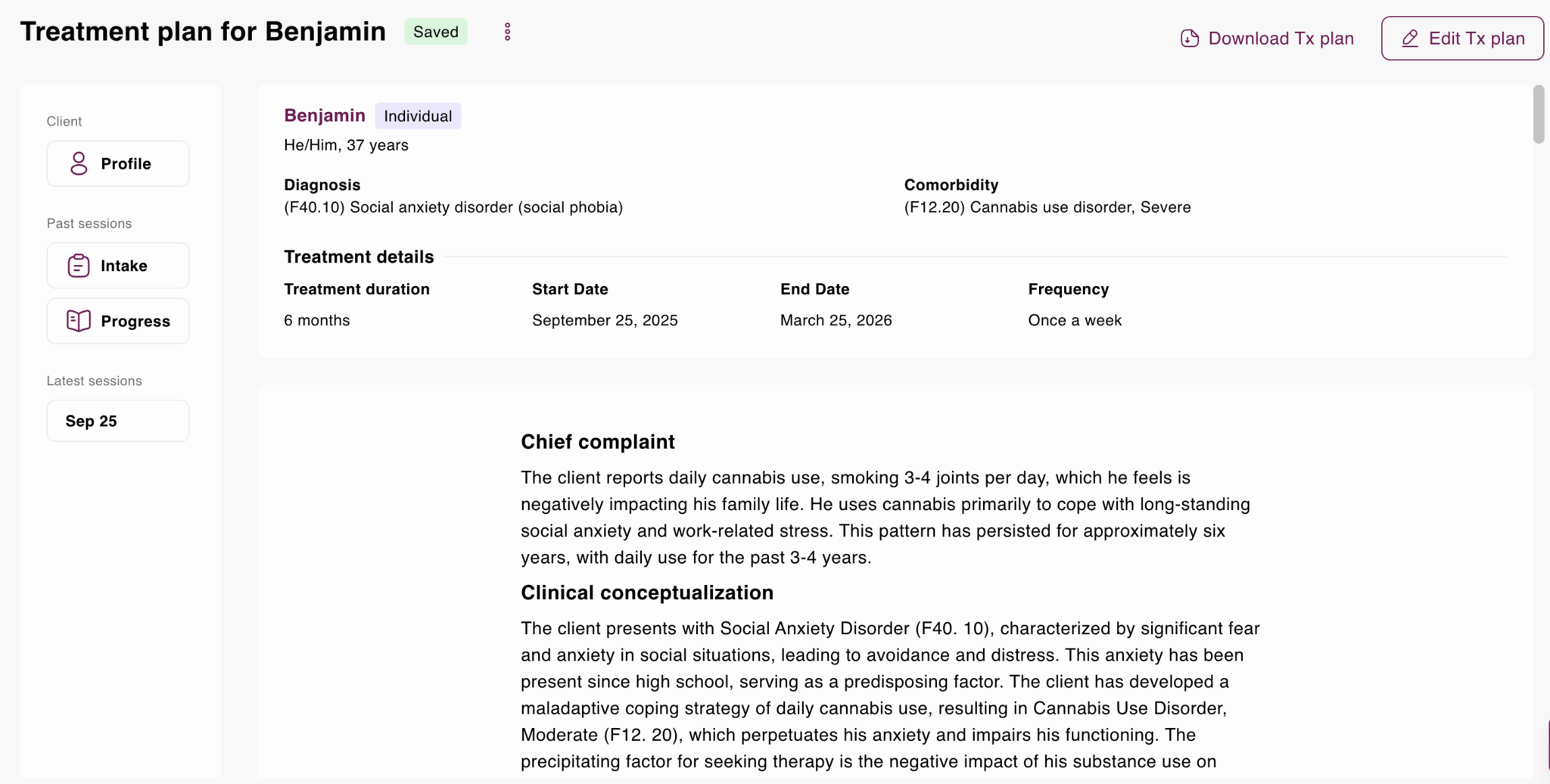 Drug Abuse Treatment Plan (with Examples)